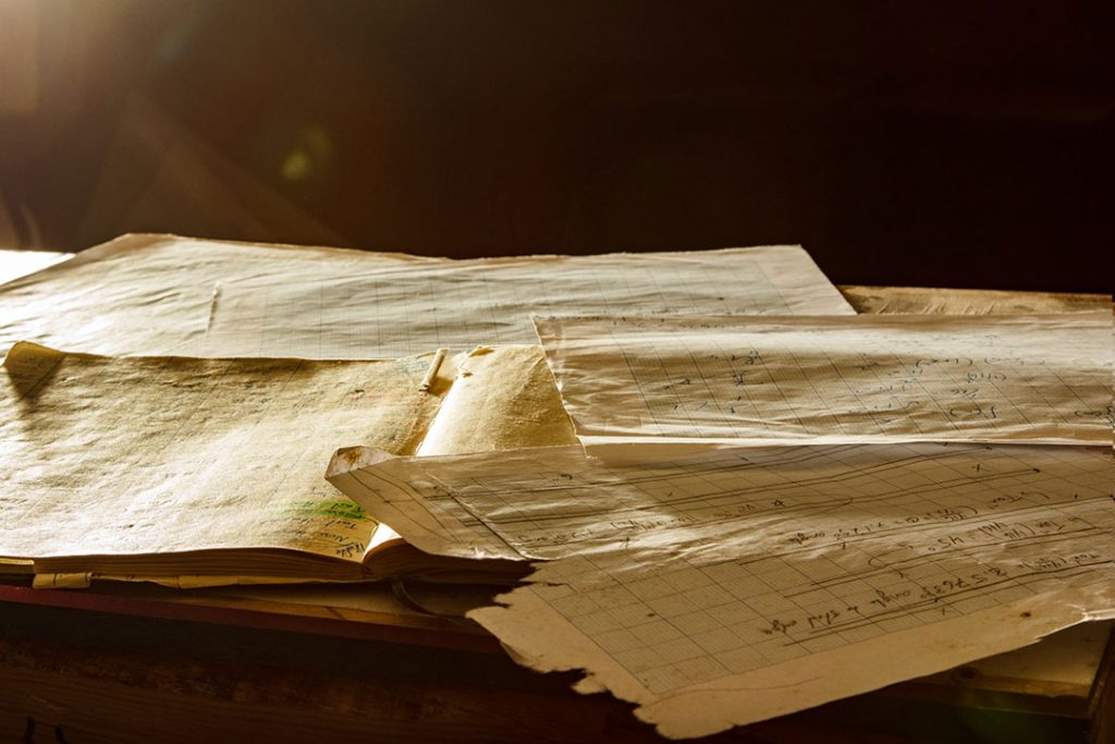 GILSON: Crafting Dynamic Images for a Growing Market | Allen Mowery ...